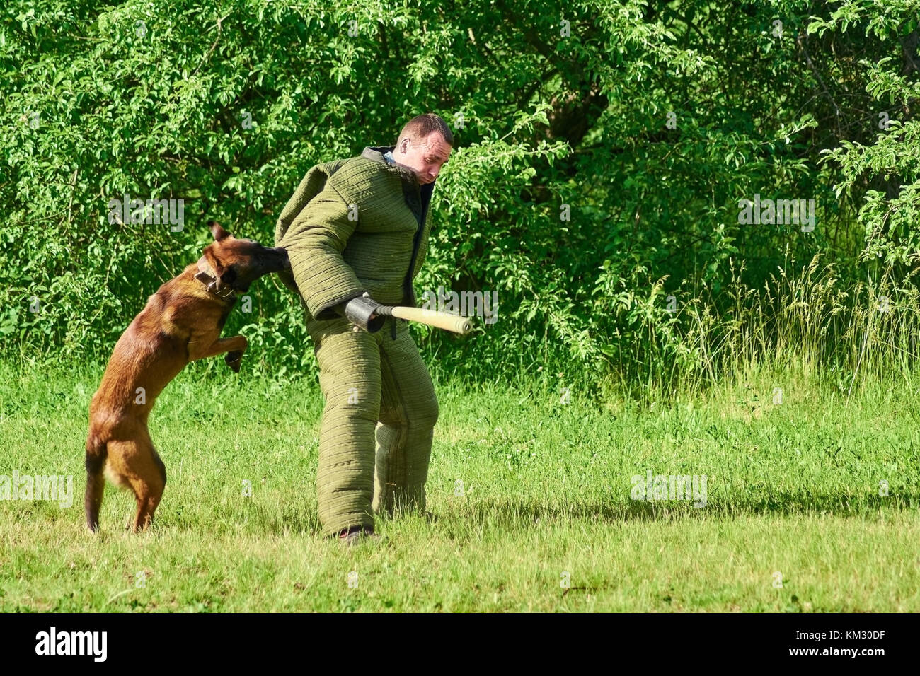 The dog is suddenly attacking the man Stock Photo - Alamy
