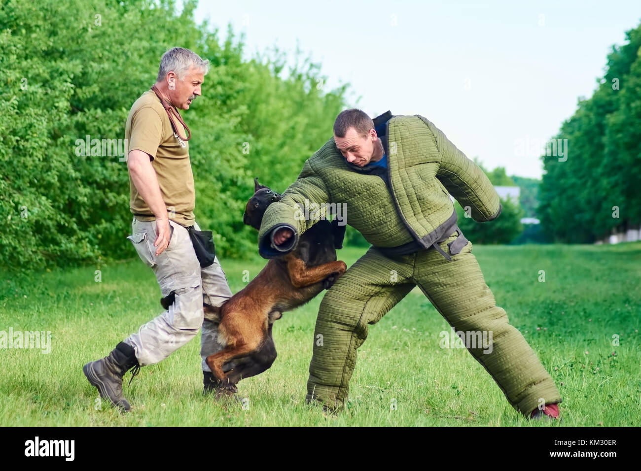 Attacking trainer hi-res stock photography and images - Alamy
