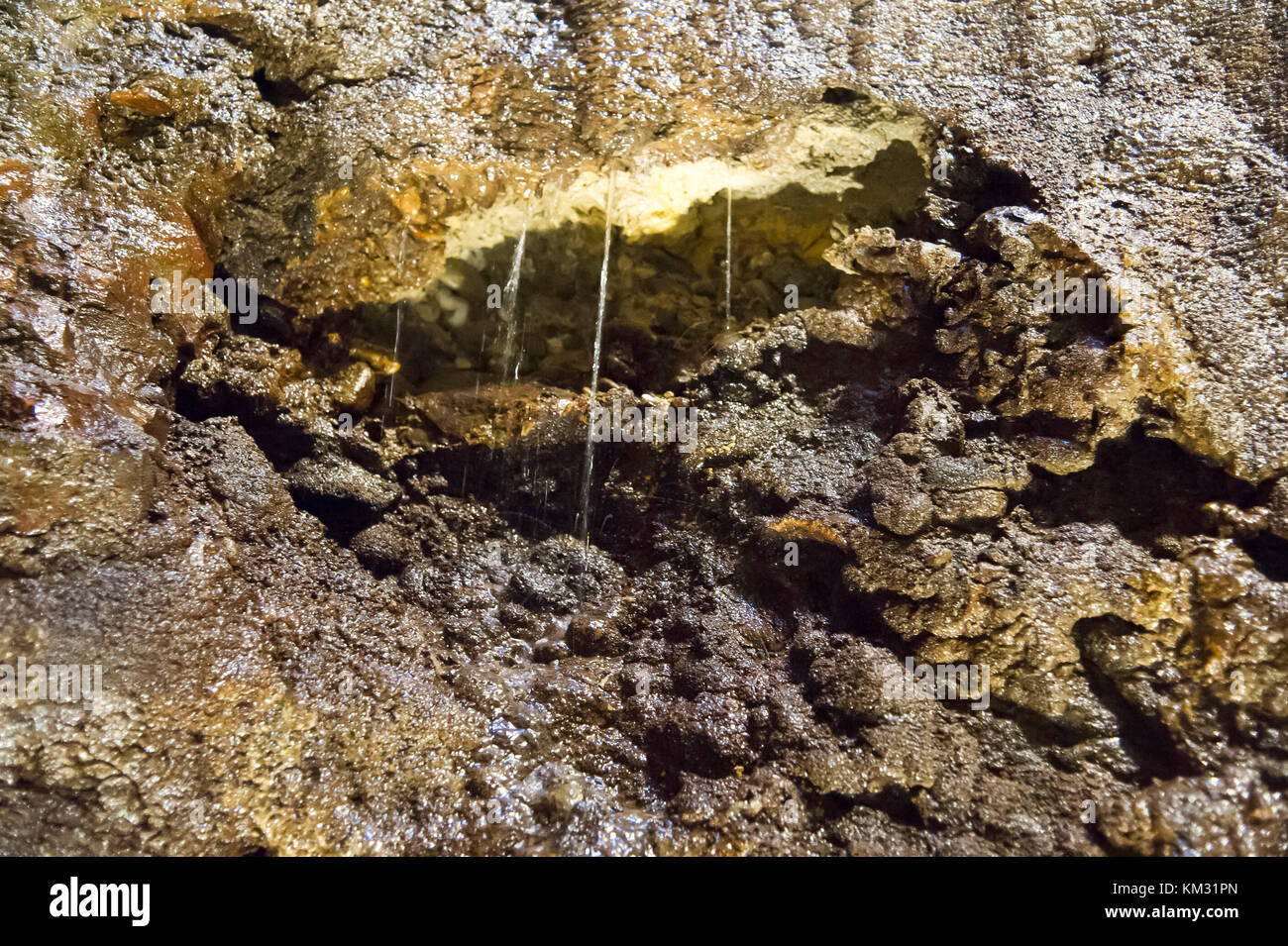 Pozzo Etrusco (Etruscan Well) from III century BC under Piazza ...