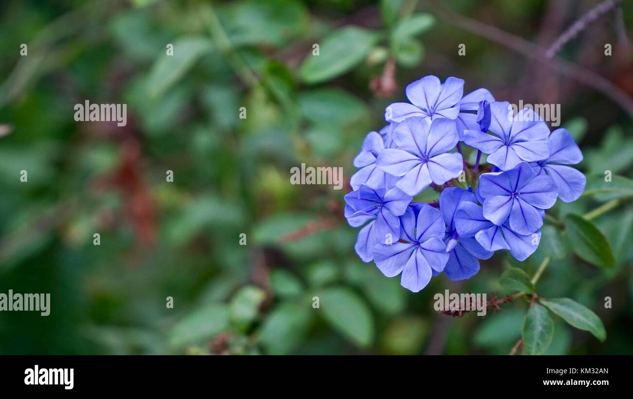 California seasons hi-res stock photography and images - Alamy