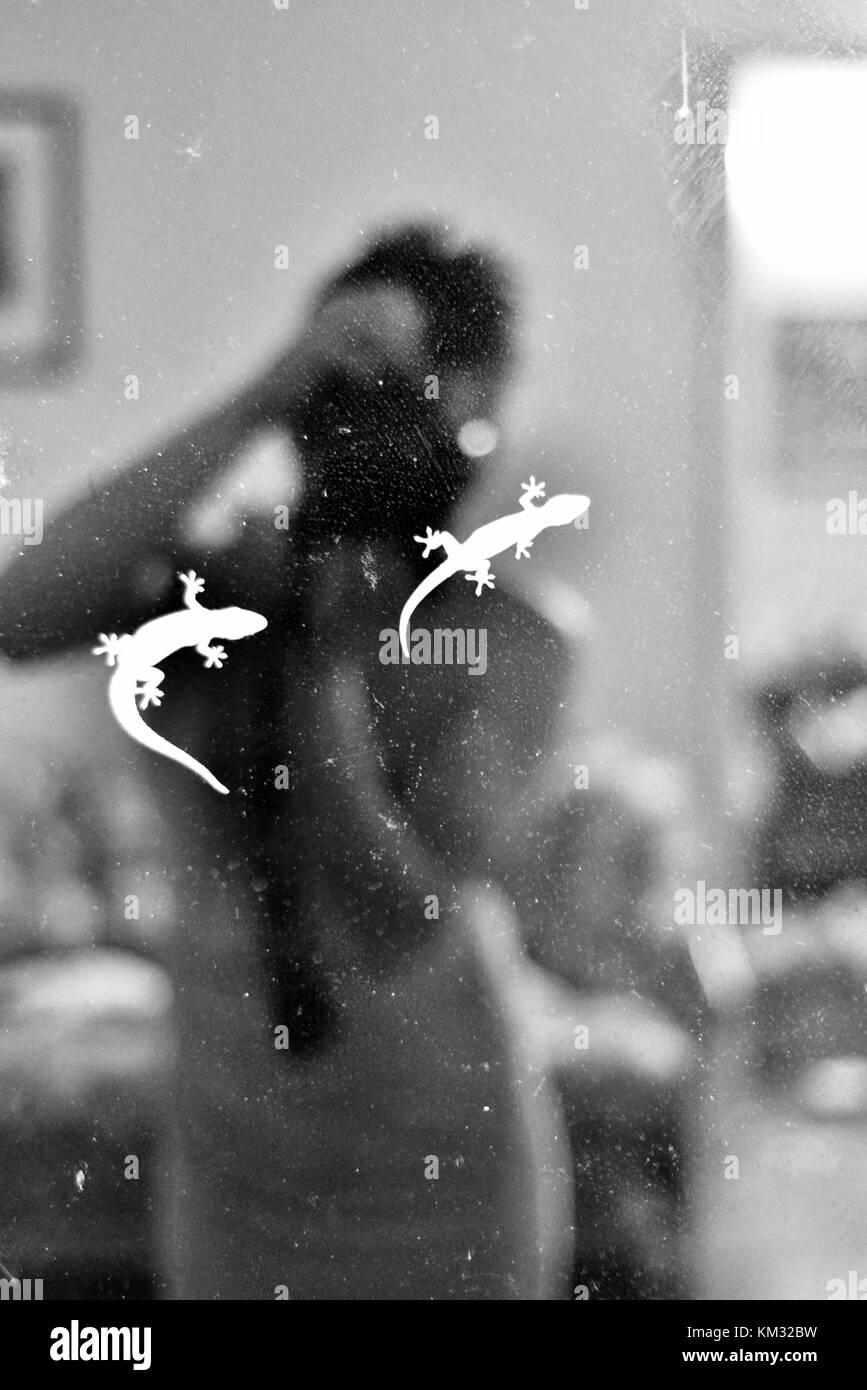 Underside of gecko hi-res stock photography and images - Alamy