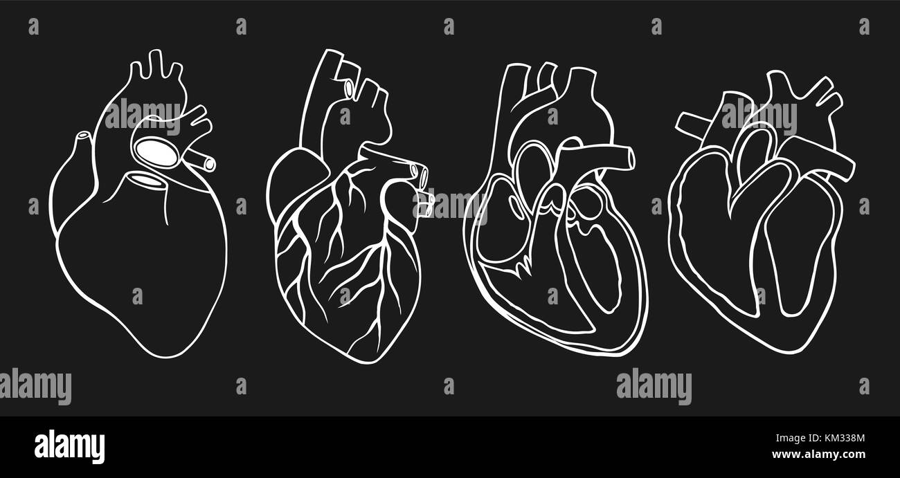 Set of vector engraving heart. Vector hand drawn Isolated on black ...