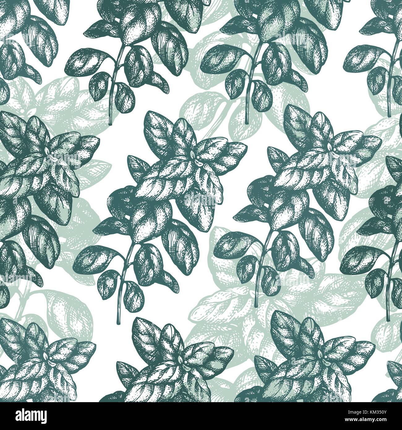 Basil seamless pattern. Vector background for design menu, packaging ...