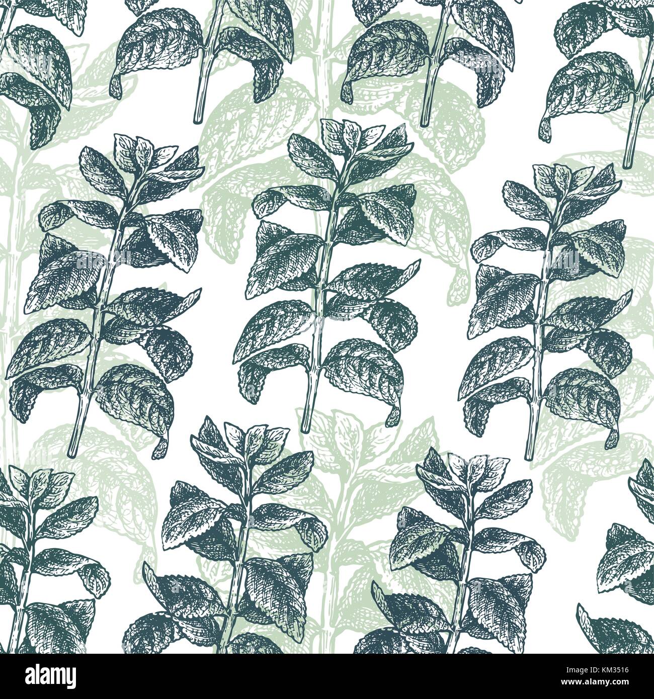 Mint branch seamless pattern. Vector background for design menu ...