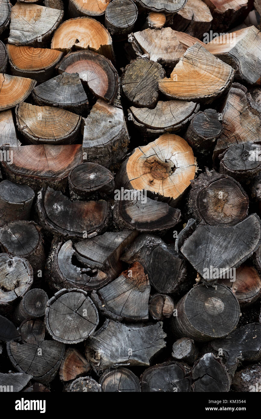 Vertical tree pattern hi-res stock photography and images - Alamy