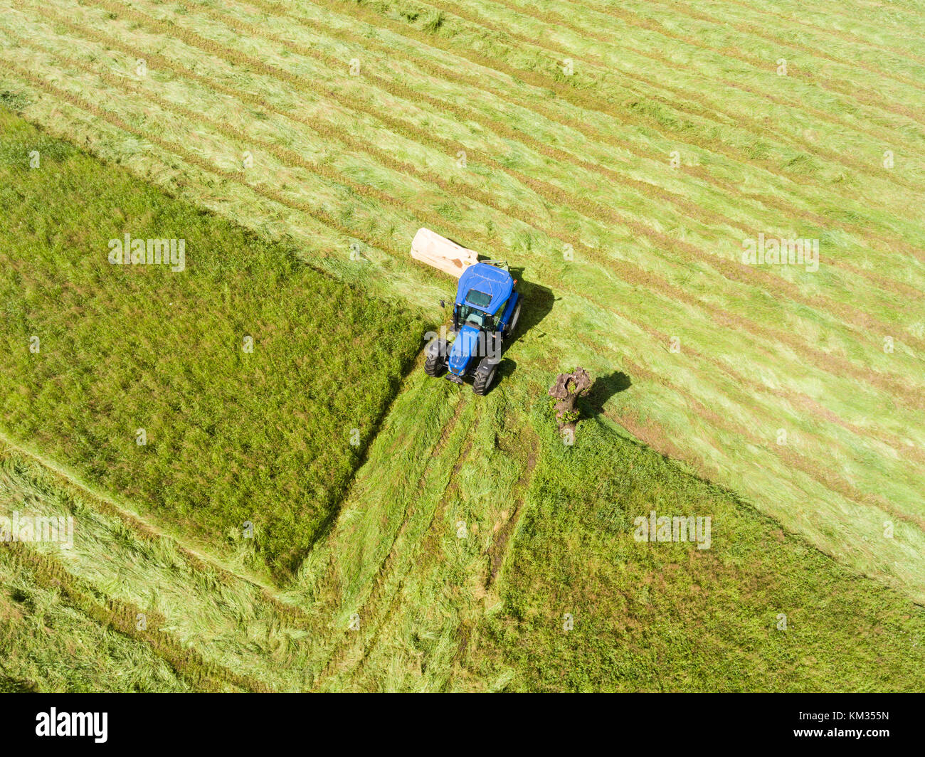 Tractor in a field - Cutting grass - Aerial photo Stock Photo - Alamy