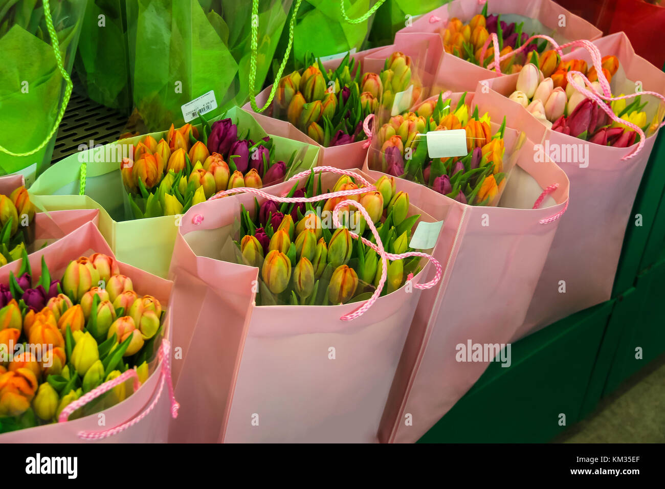 Selling colorful Dutch tulips in the bags, the Netherlands Stock Photo ...