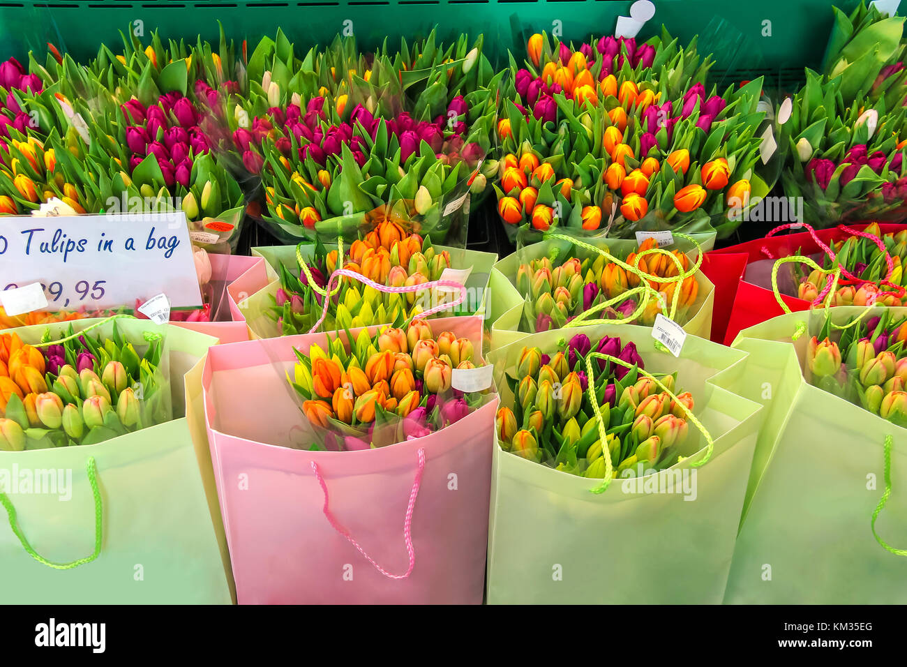 Selling colorful Dutch tulips in the bags, the Netherlands Stock Photo ...