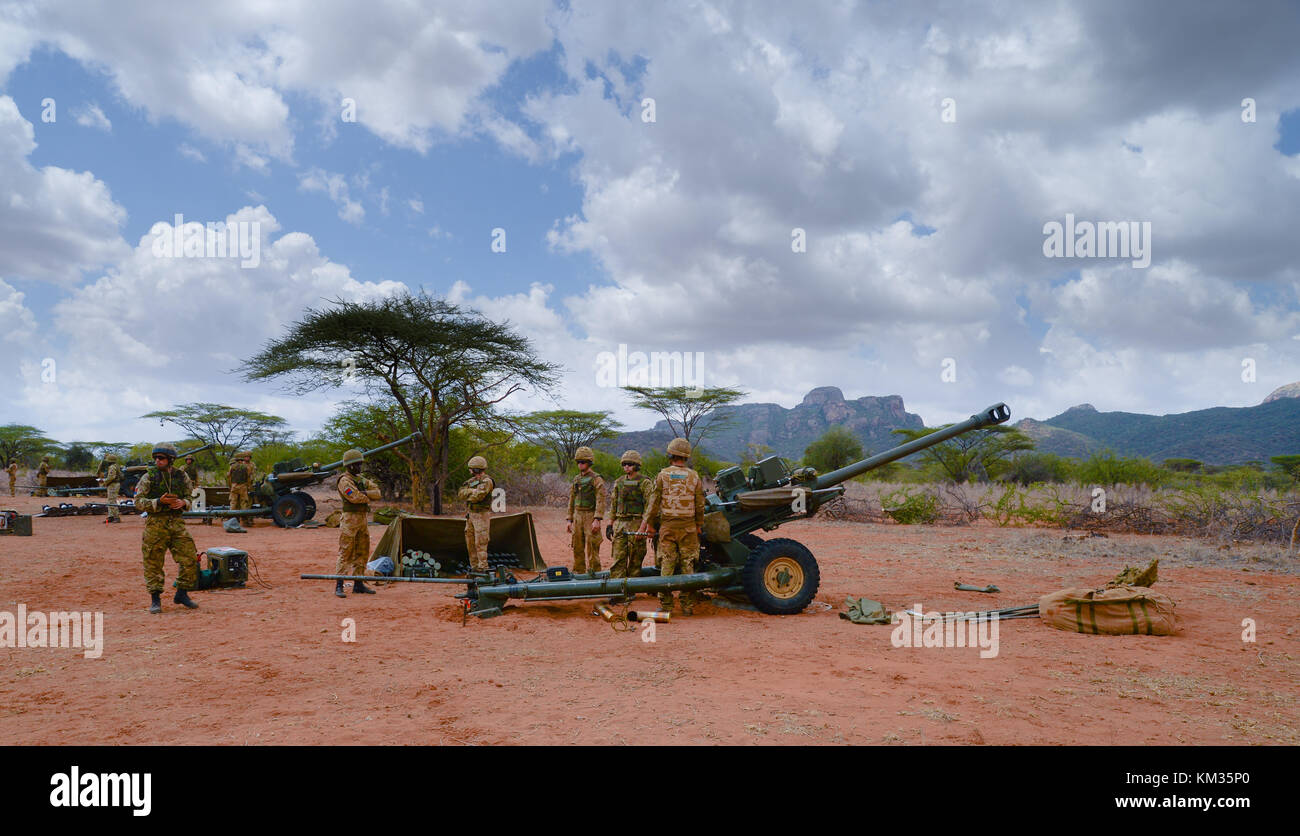 Royal Horse Artillery at Archers Post with their 105 mm guns training ...