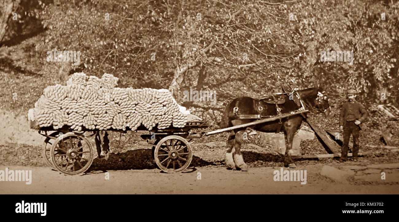 A delivery of yarn, linen production, Victorian period Stock Photo - Alamy