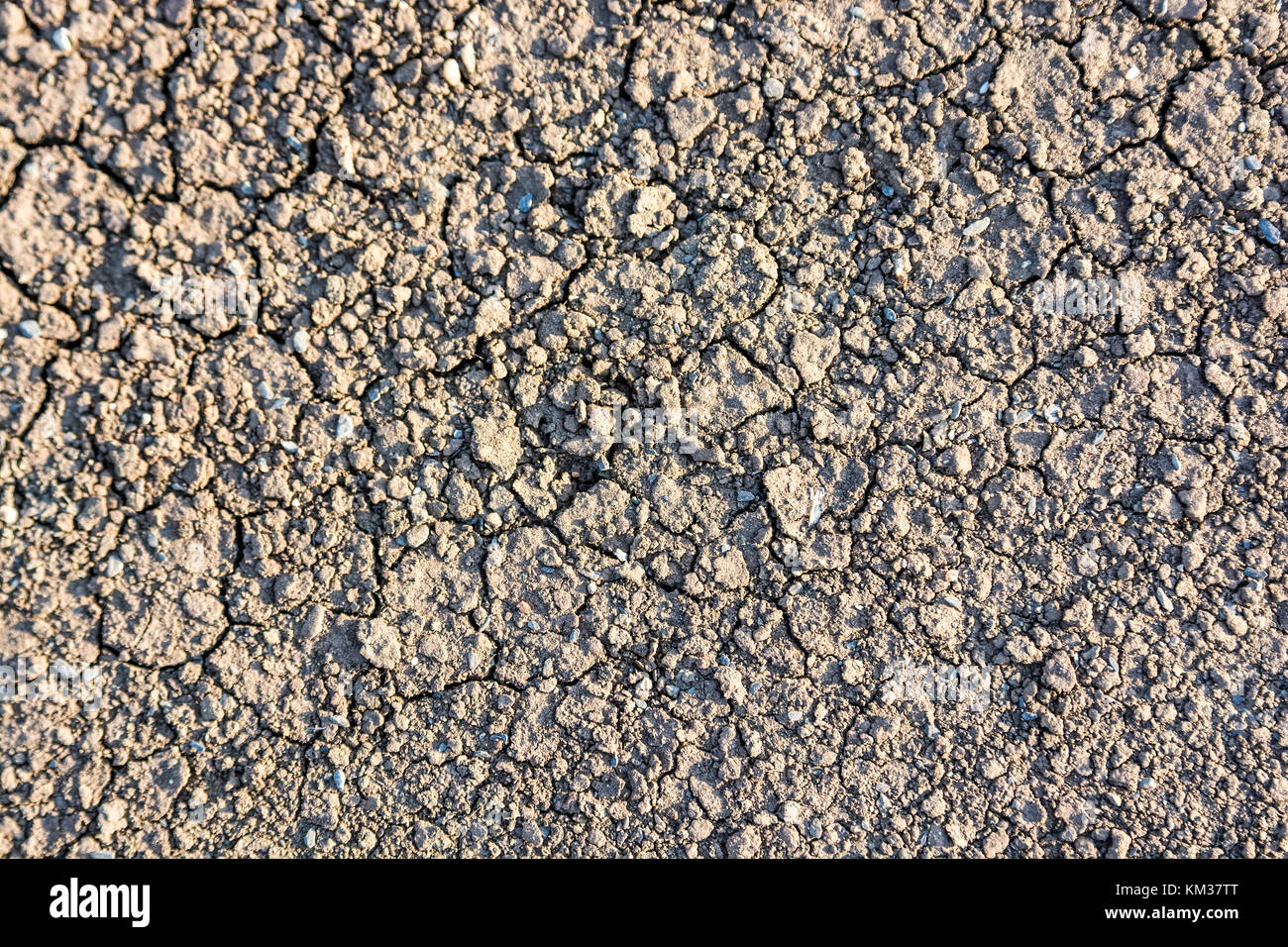 Dry fall ground with cracks Stock Photo - Alamy