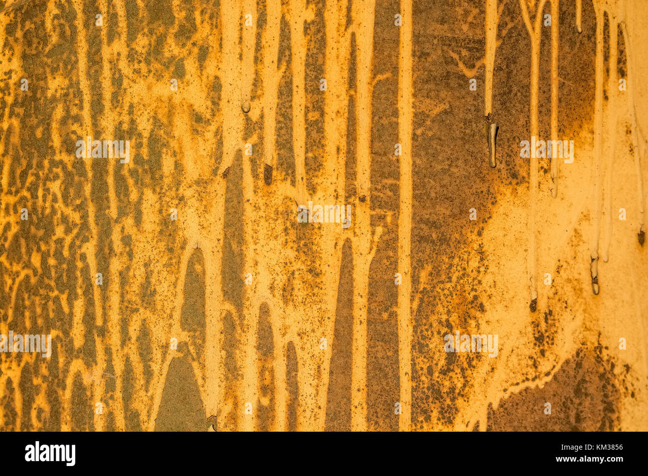 Old yellow rusty metal surface grunge background Stock Photo - Alamy