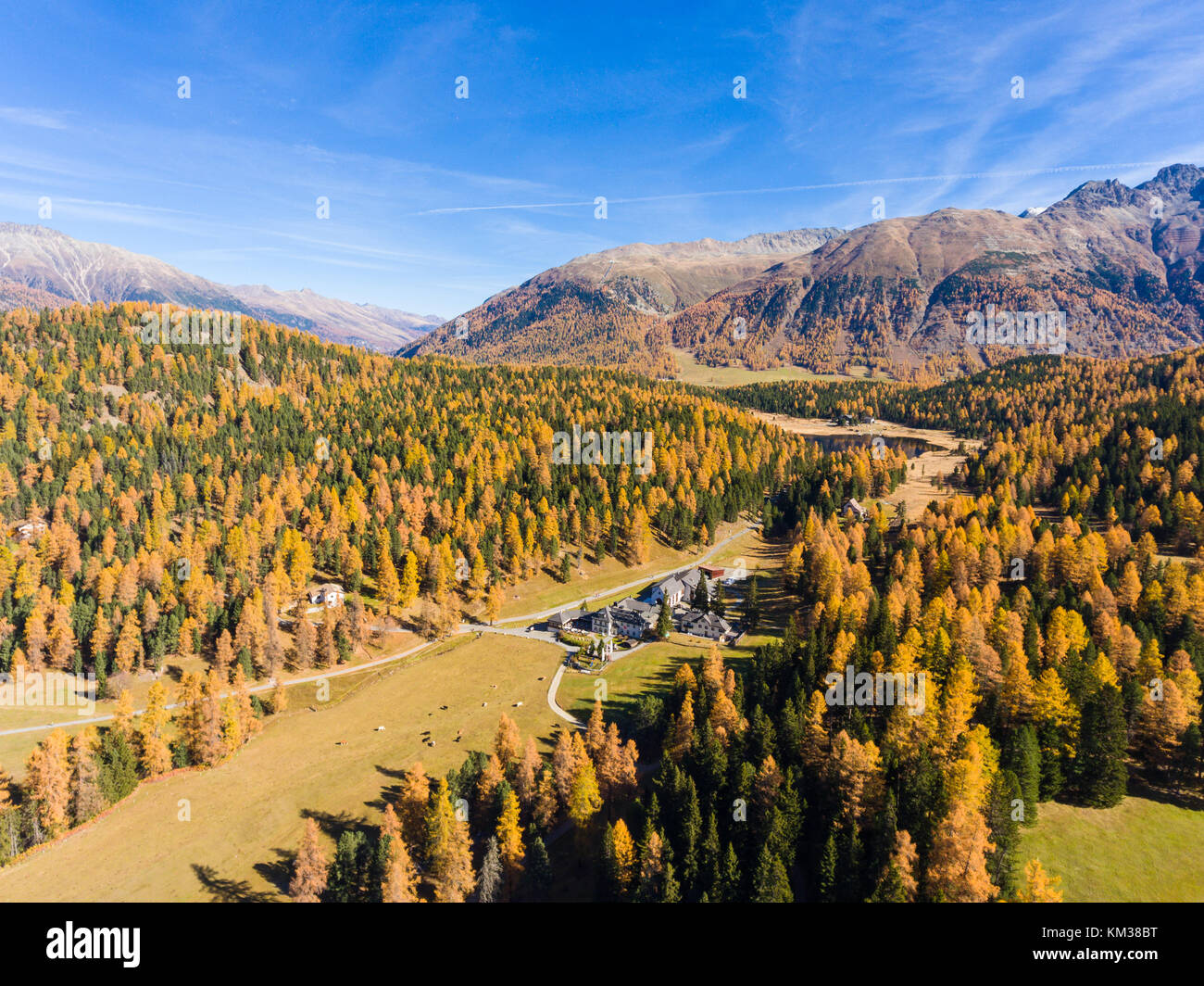 Little village in a forest - Alps Stock Photo - Alamy