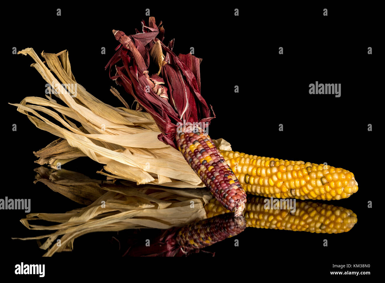 On a black reflective surface Ears of Indian corn Stock Photo - Alamy
