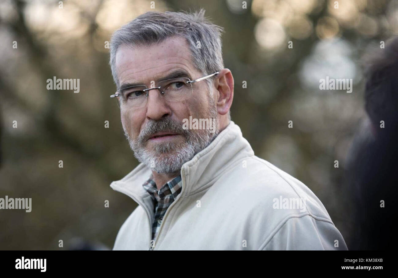 The Foreigner is a 2017 action thriller film directed by Martin ...