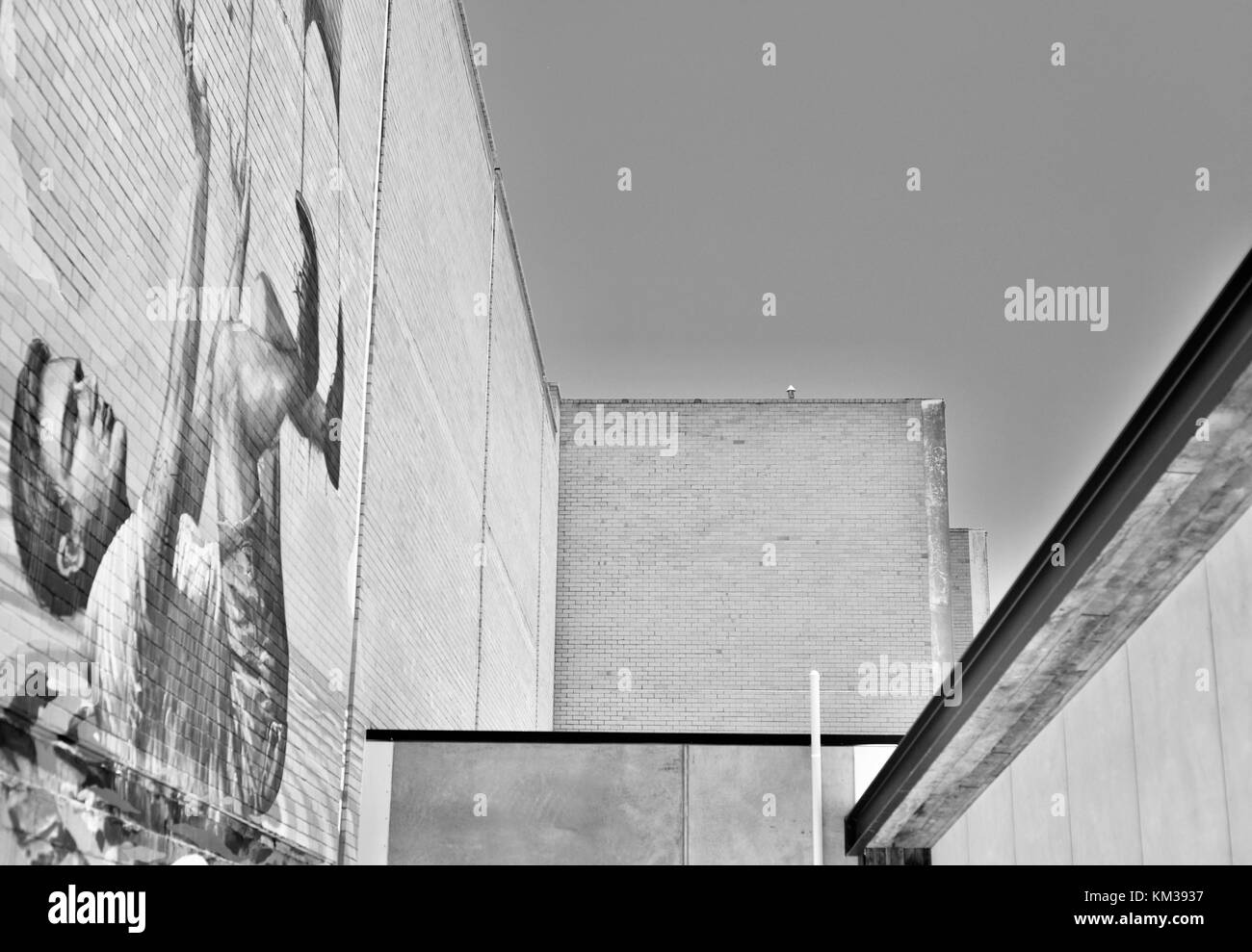 Street art visible from City Lane and City Arcade, a relatively new ...