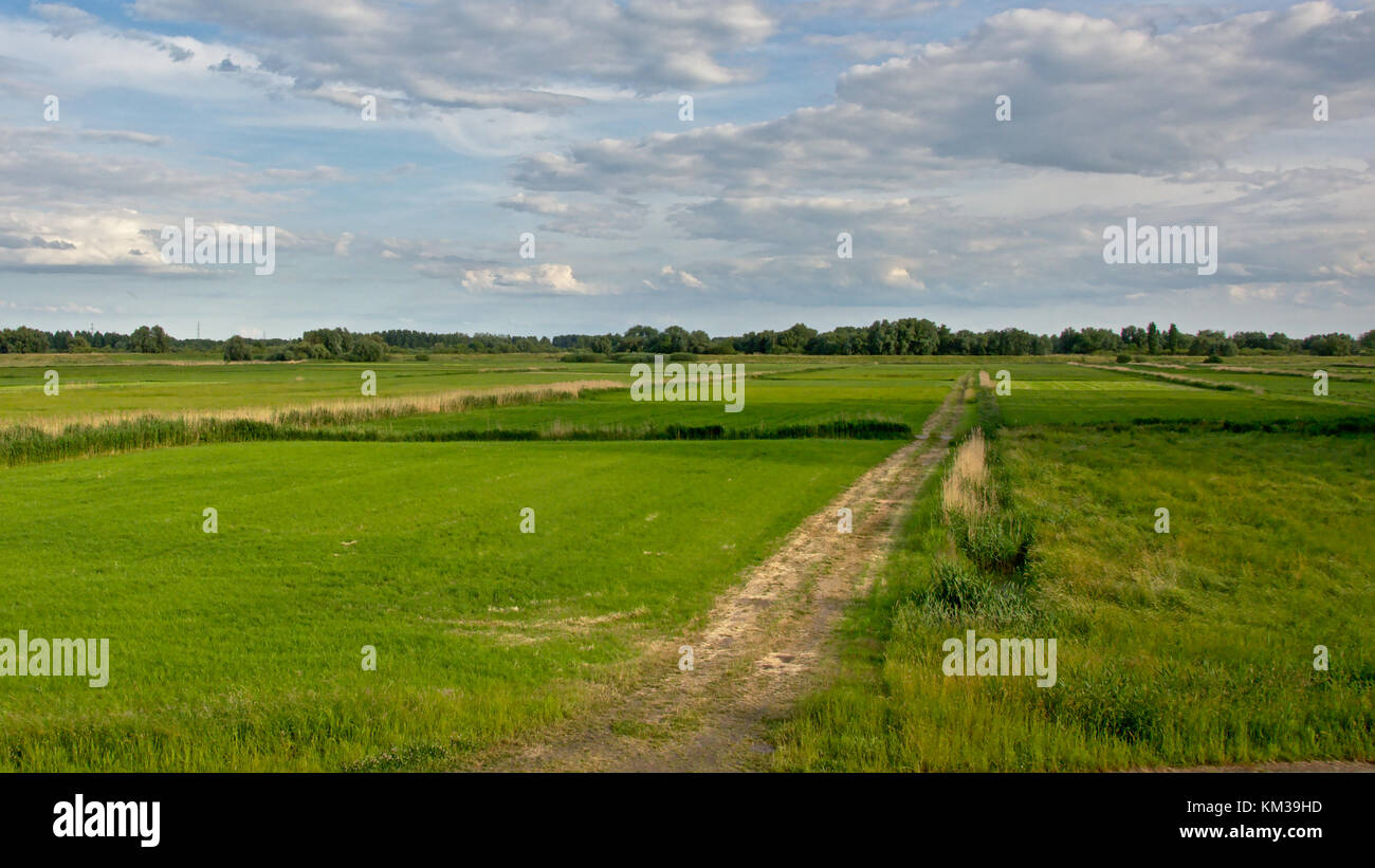 Polder landscape with fields and trees in river Scheldt estuary, part ...