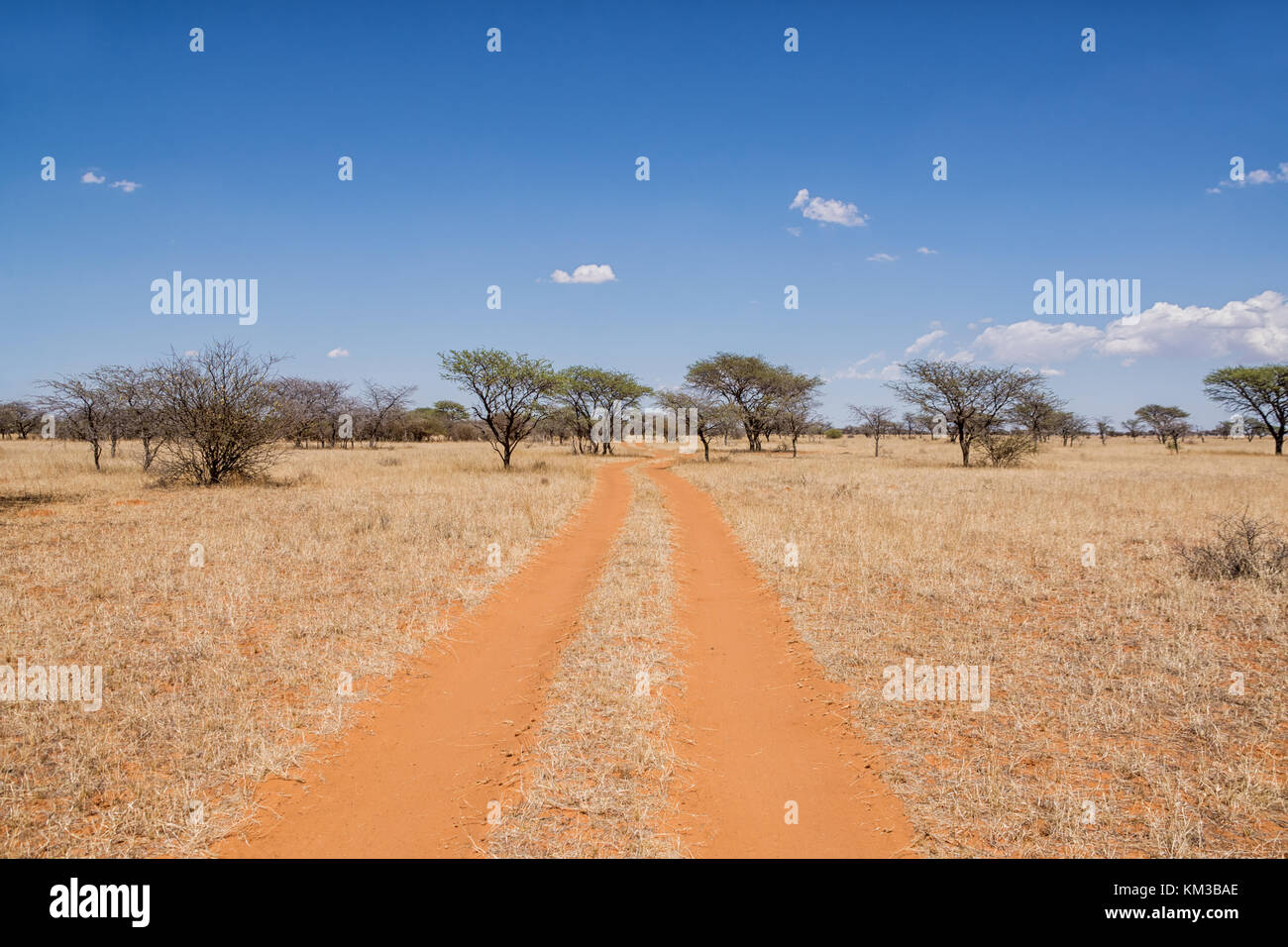 A red sand track heads through the wilderness in Southern African ...