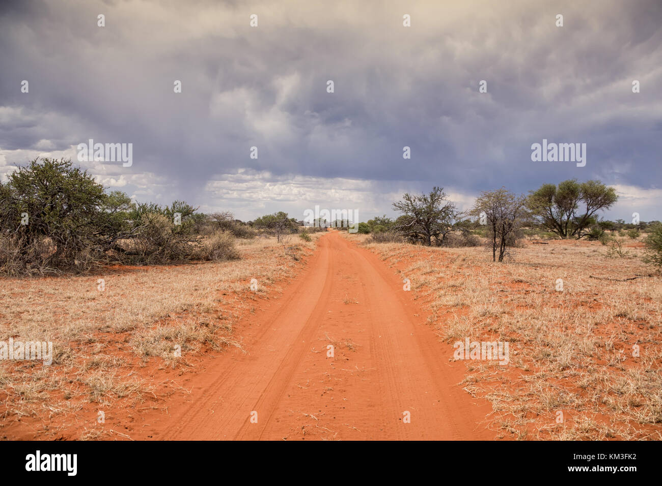 A red sand track heads through the wilderness in Southern African ...