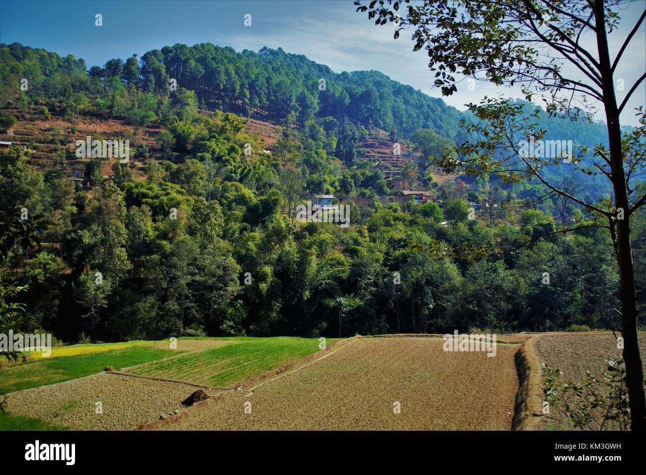 Remote Farm Field Stock Photo - Alamy