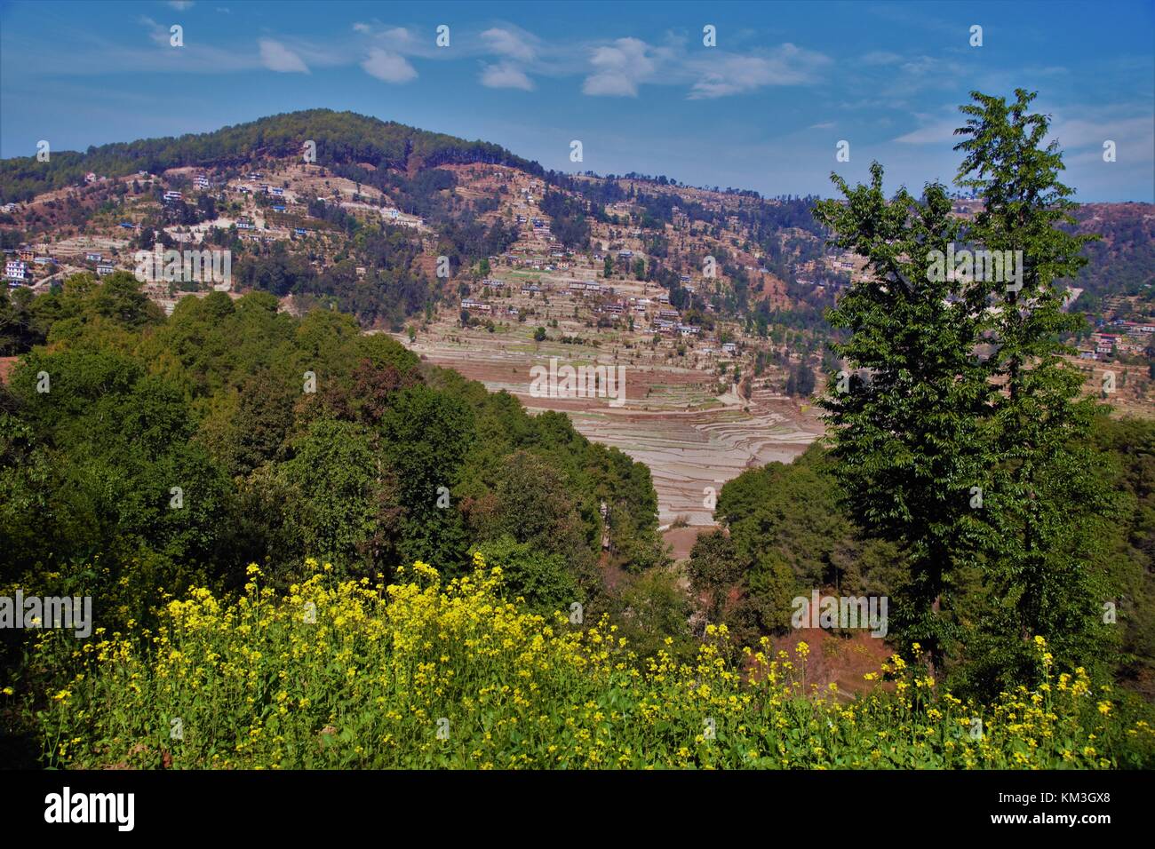Remote Farm Field Stock Photo - Alamy