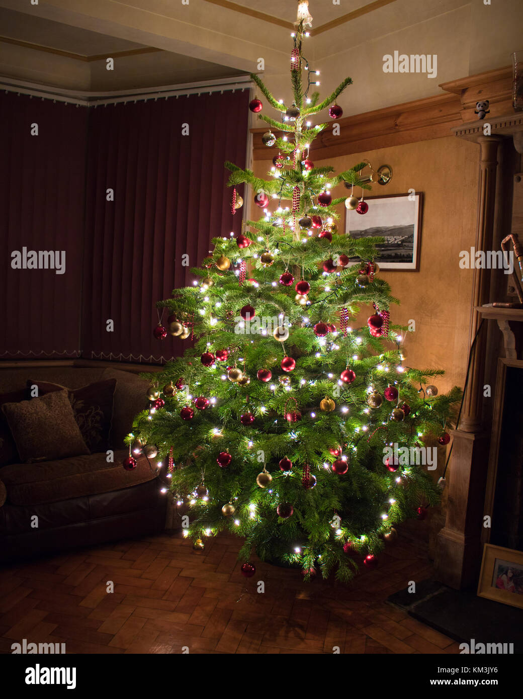 Christmas trees during the festive season Stock Photo - Alamy