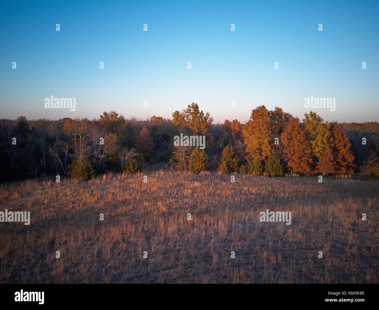 Wide landscape view of peaceful tree filled forest countryside tinted ...