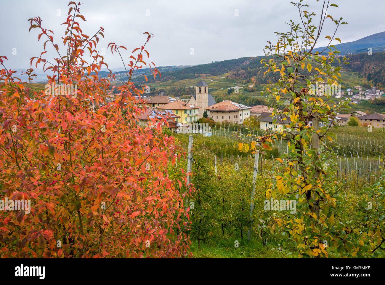 Valer Castle and the apple trees of the Non Valley. Trento province ...