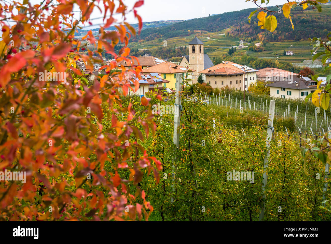 Valer Castle and the apple trees of the Non Valley. Trento province ...