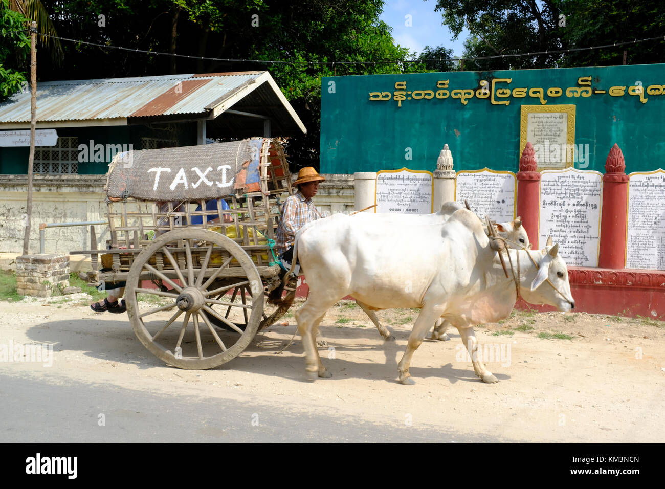 Oxen Taxi in Mandalay, Myanmar Stock Photo - Alamy