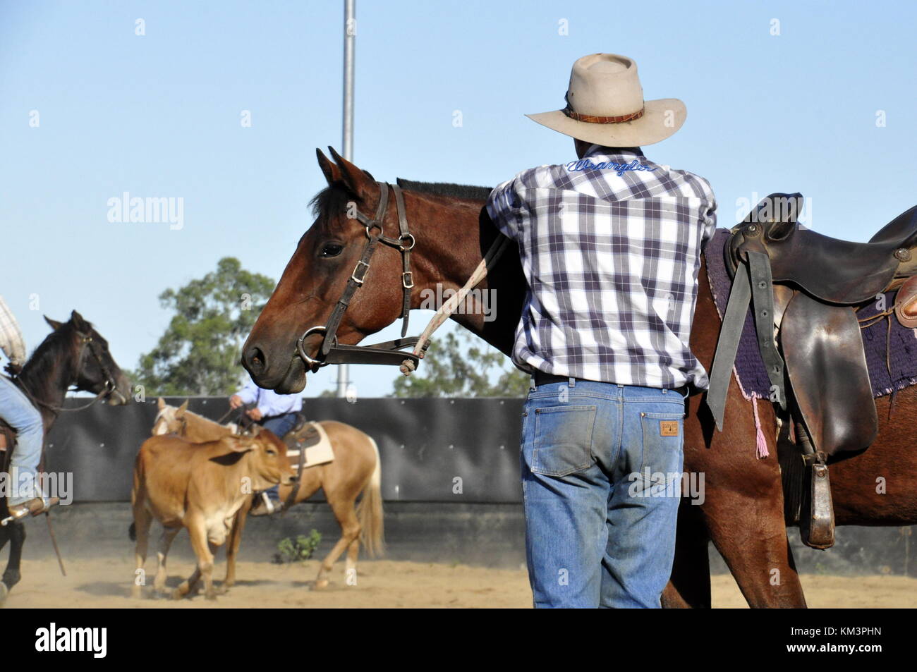 Cowboy butts hi-res stock photography and images - Alamy