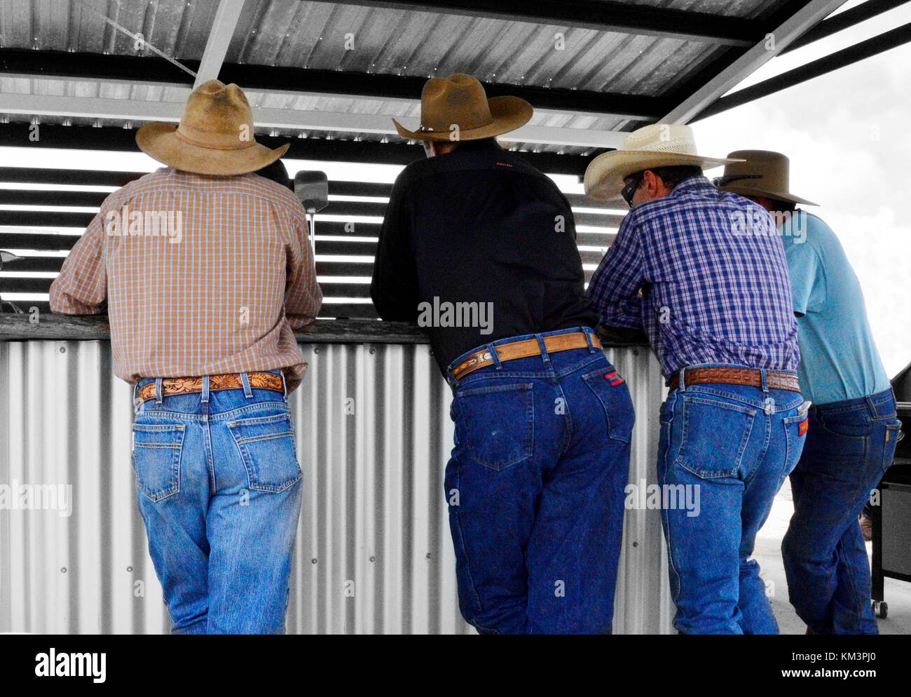 Cowboy butts hi-res stock photography and images - Alamy
