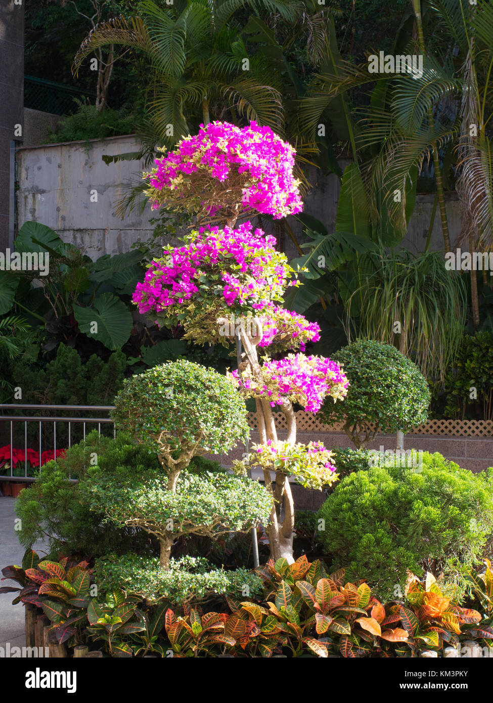 Pink Flowers In The Garden Stock Photo - Alamy