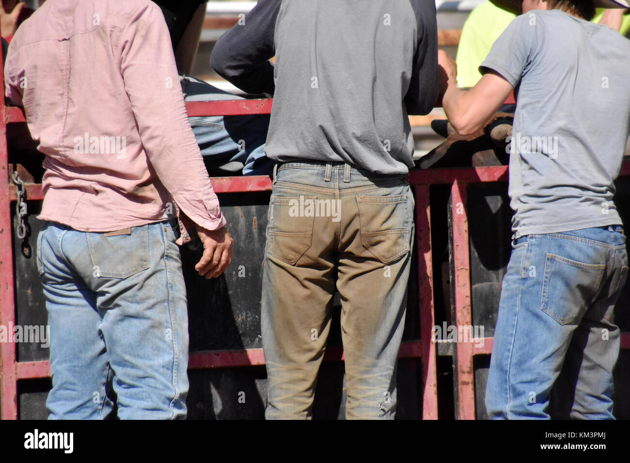 Cowboy butts hi-res stock photography and images - Alamy
