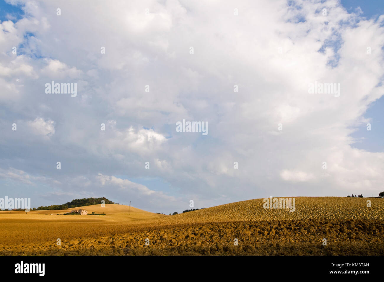 Landscape, surroundings of Recanati, Marche, Italy Stock Photo - Alamy
