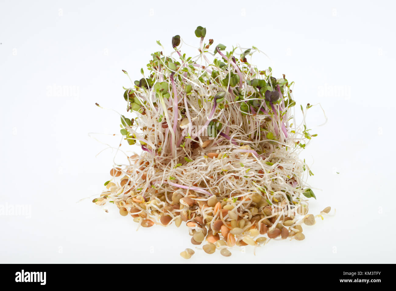 The healthy diet. Fresh sprouts isolated on white background Stock ...