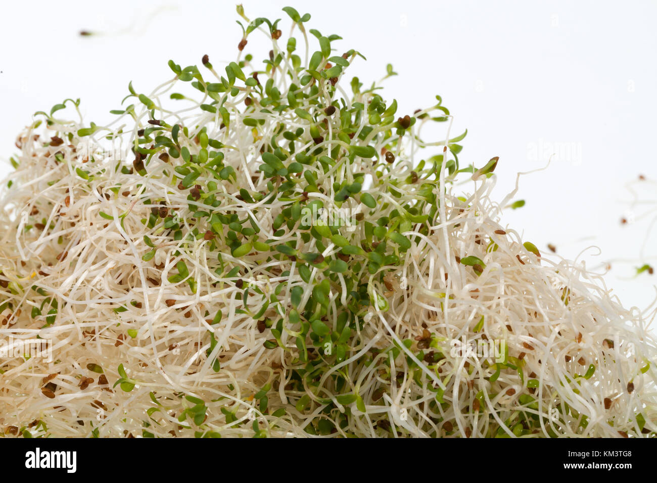 The healthy diet. Fresh sprouts isolated on white background Stock ...