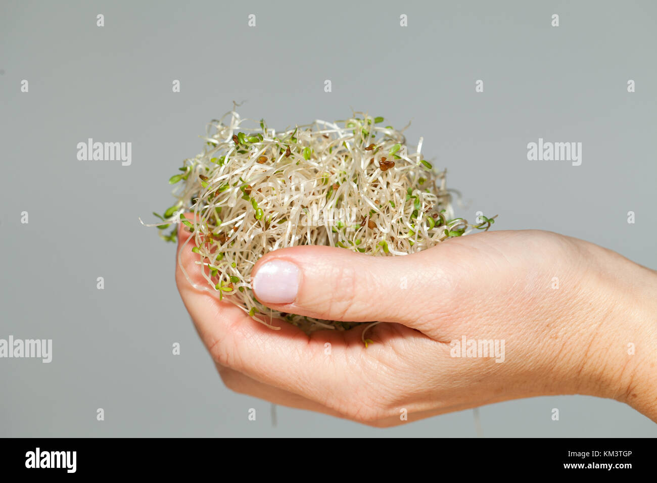 The healthy diet. Fresh sprouts isolated Stock Photo - Alamy