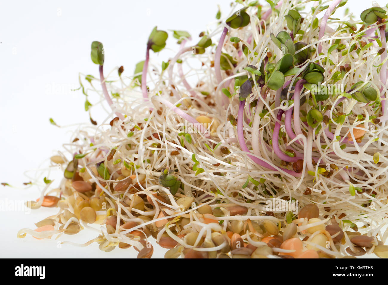 The healthy diet. Fresh sprouts isolated on white background Stock ...