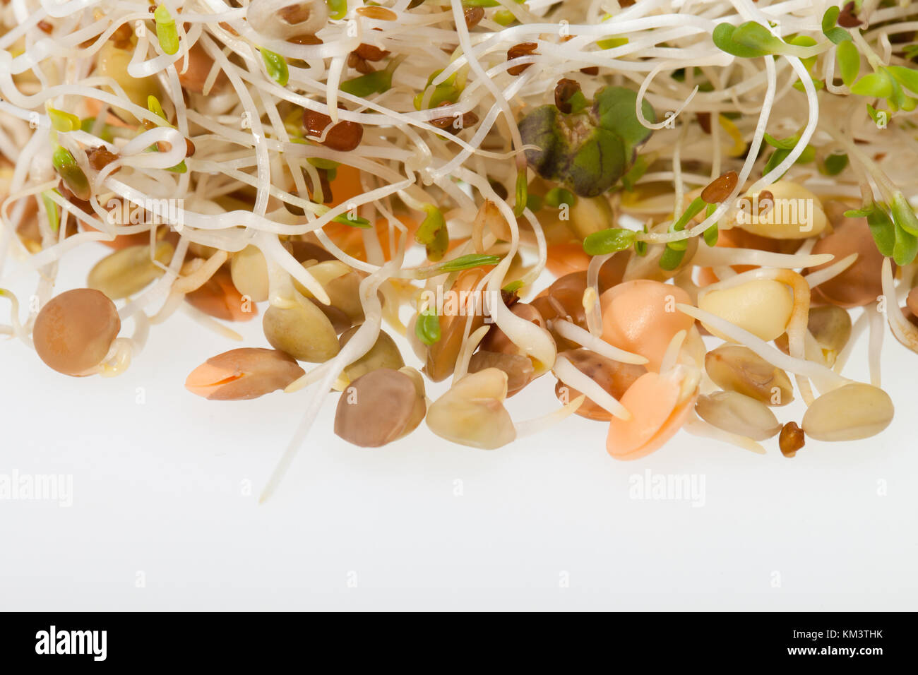 The healthy diet. Fresh sprouts isolated on white background Stock ...