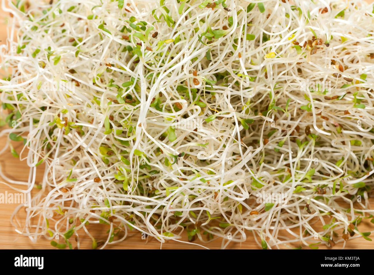 The healthy diet. Fresh sprouts isolated on white background Stock ...