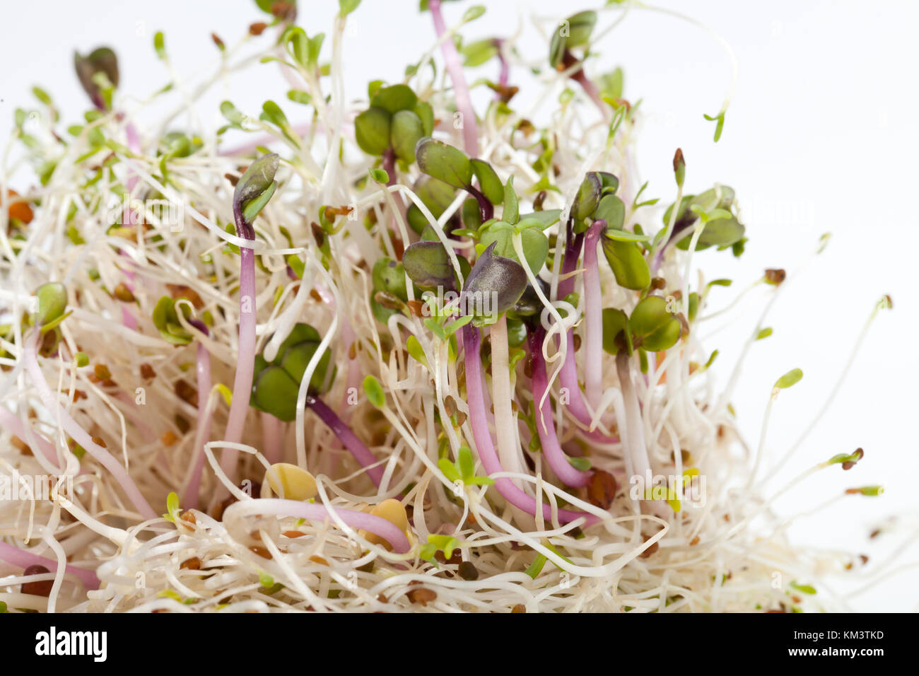The healthy diet. Fresh sprouts isolated on white background Stock ...