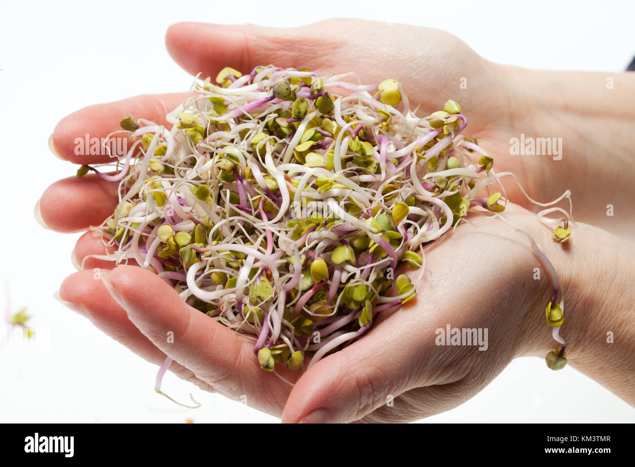 The healthy diet. Fresh sprouts isolated on white background Stock ...