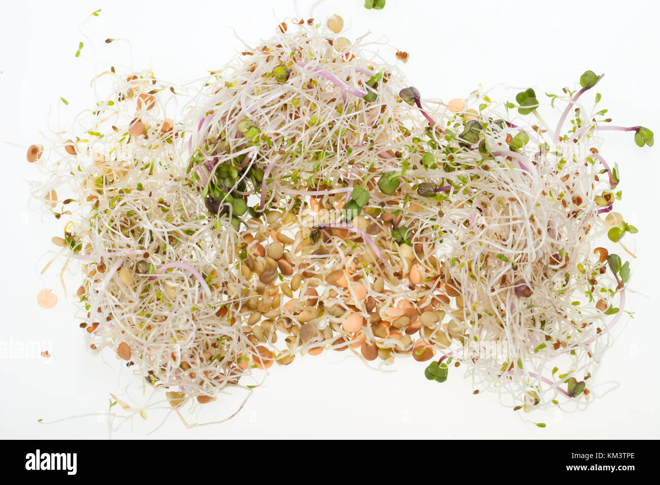 The healthy diet. Fresh sprouts isolated on white background Stock ...