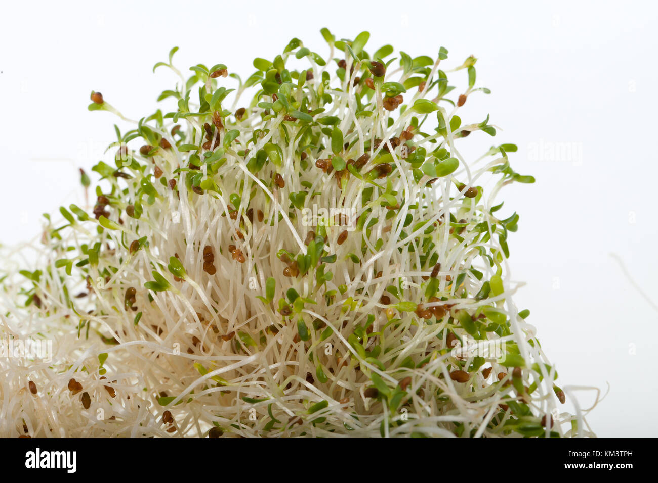 The healthy diet. Fresh sprouts isolated on white background Stock ...
