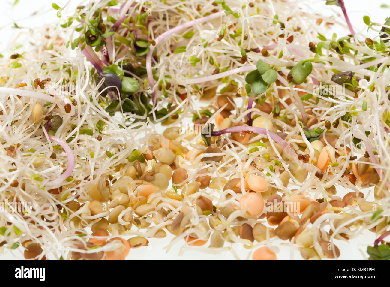The healthy diet. Fresh sprouts isolated on white background Stock ...