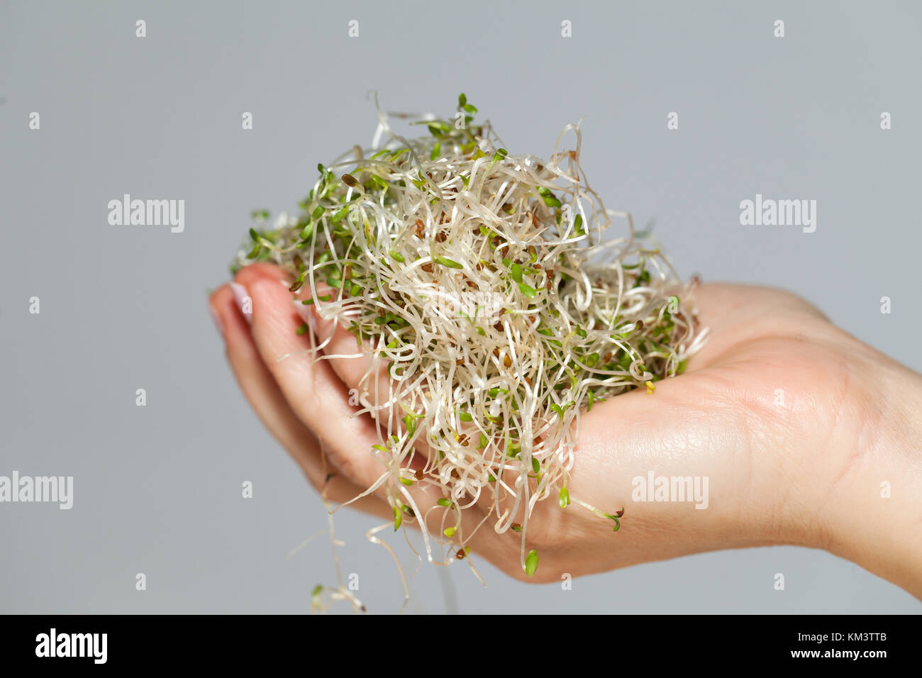 The healthy diet. Fresh sprouts isolated Stock Photo - Alamy