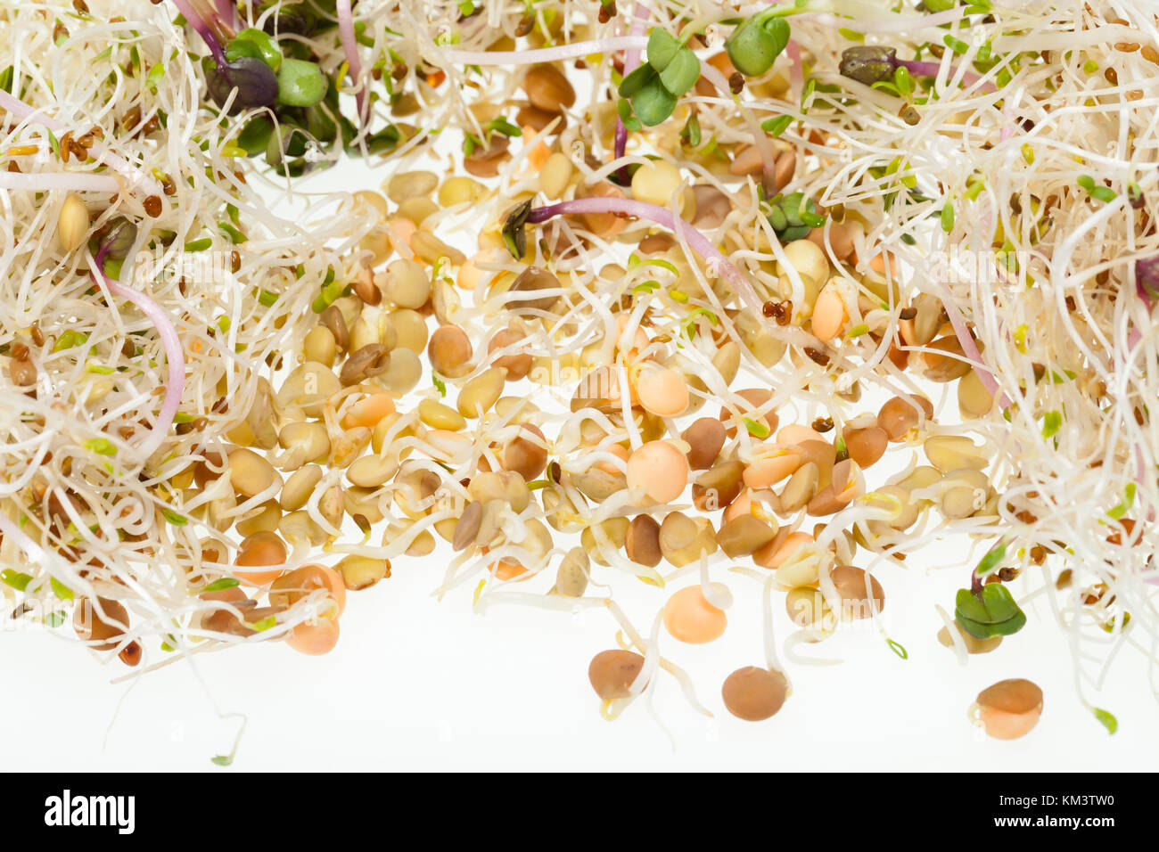 The healthy diet. Fresh sprouts isolated on white background Stock ...