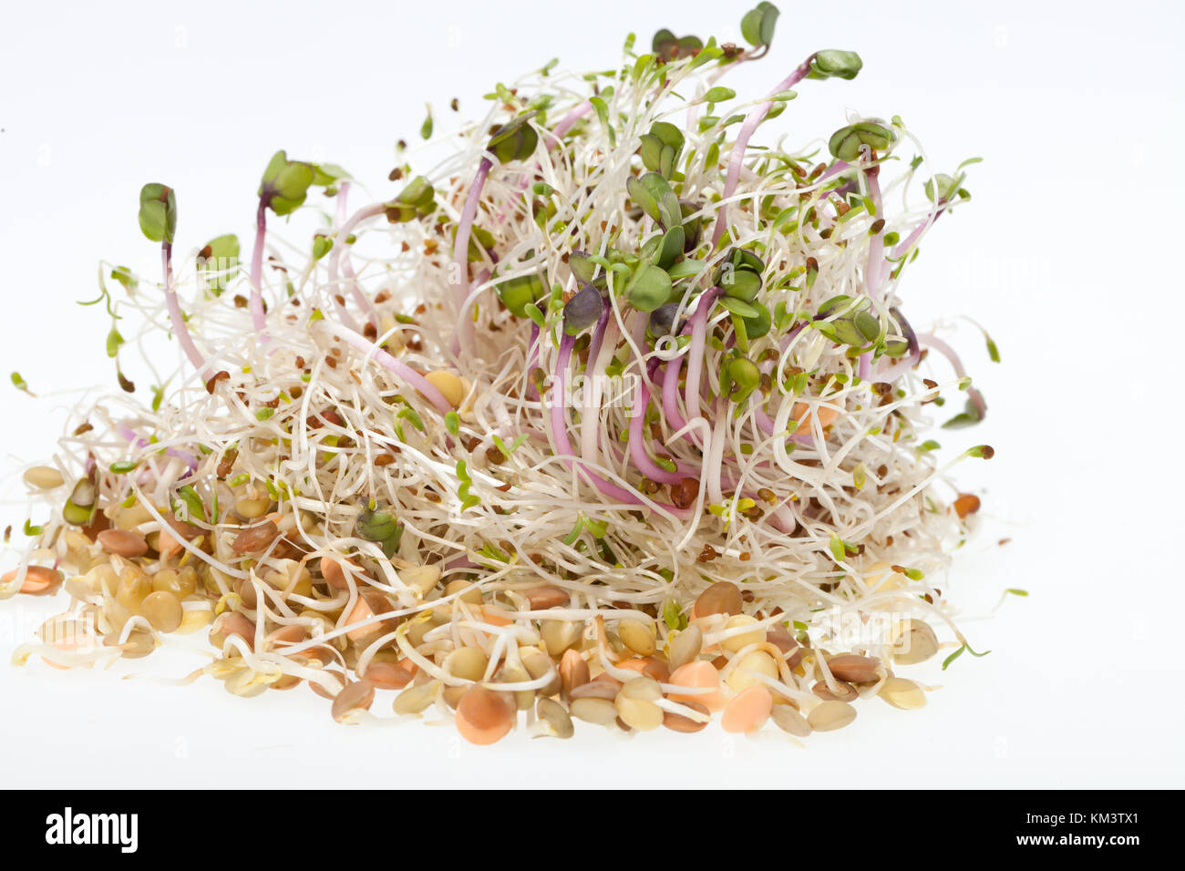 The healthy diet. Fresh sprouts isolated on white background Stock ...