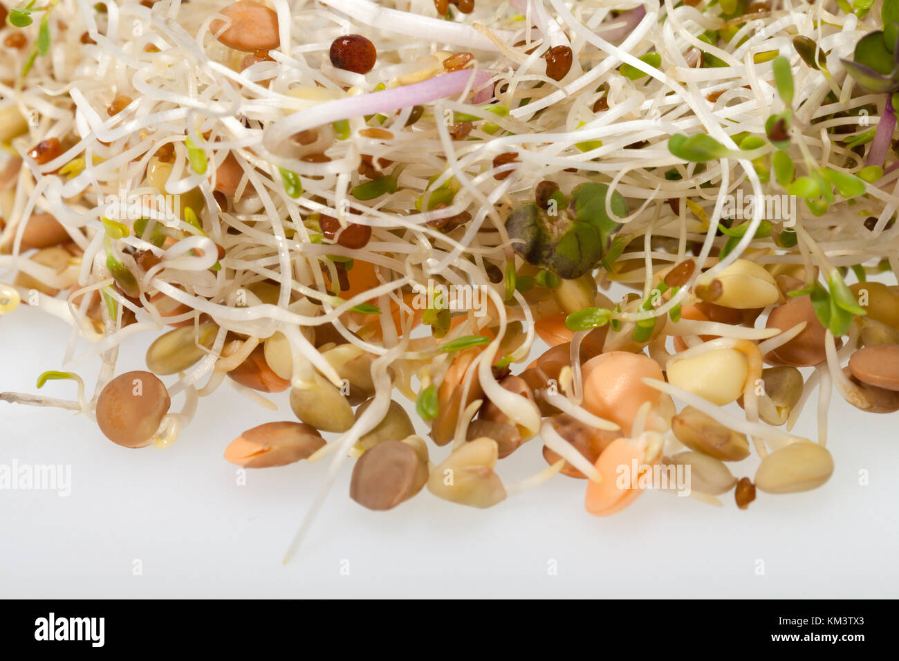 The healthy diet. Fresh sprouts isolated on white background Stock ...